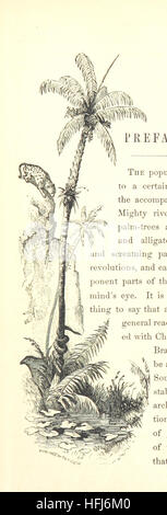 A historical and descriptive account of Brazil, featuring detailed ...