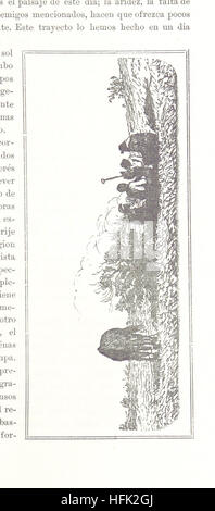 This image from 'Viaje a la Patagonia austral' details the expedition ...