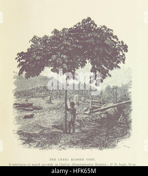 A description of Ceylon (Sri Lanka) during the 'Jubilee Year', with ...