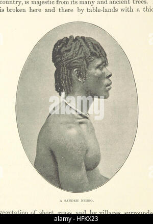 This image from 'Ten Years in Equatoria and the Return with Emin Pasha ...