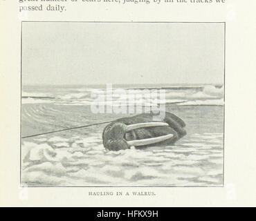 Illustration from 'With Nansen in the North' showing scenes from the ...