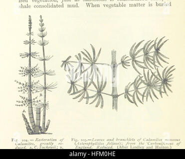 An intermediate-level geology textbook by C. Lapworth, building upon ...