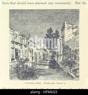 This image is from 'The Creoles of Louisiana,' an illustrated book ...