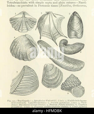 Image from 'An Intermediate Text-Book of Geology', focusing on geology ...