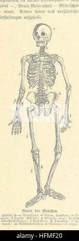 This image is from 'Der Mensch, sein Ursprung, seine Rassen und sein Alter,' a study on human ...