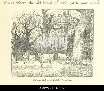 This image is from 'The Clyde, from its source to the sea,' a ...