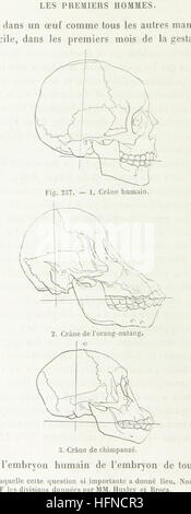 This image from 'Les premiers hommes et les temps prehistoriques ...