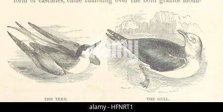The route of Charles Darwin voyage with the HMS Beagle Stock Photo - Alamy