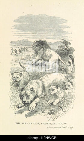 Image from a book documenting the stories of early explorers, featuring ...
