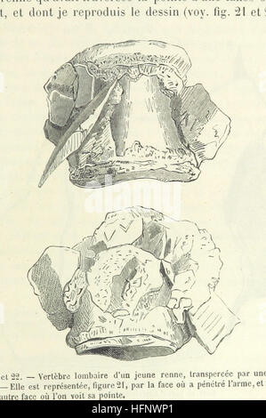 This image from 'Hommes fossiles et hommes sauvages' illustrates ...