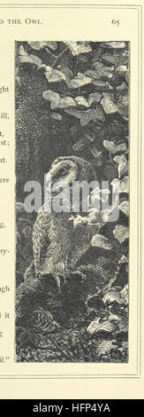 A collection of fables and stories set in woodland settings, offering ...