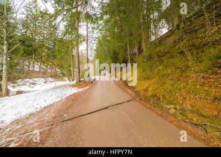 Dirt road crossing Alpine snowy forest in winter Stock Photo - Alamy