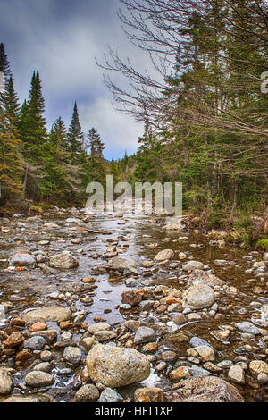 An Adirondack mountain stream Stock Photo - Alamy