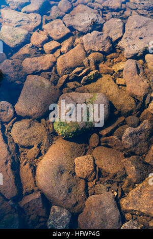 The bottom of the river through transparent water with reflection of ...