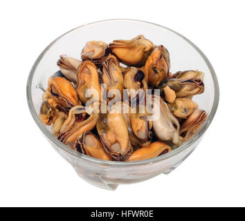 Delicious marinated mussels in bowl on rustic concrete background ...