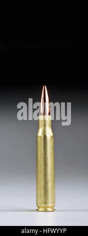 Brass 50 cal. bullet with room for your type Stock Photo - Alamy