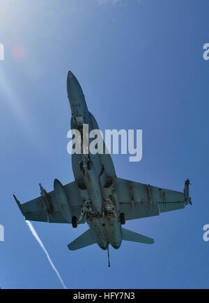 Carrier Air Wing (CVW) 1, F/A-18C Hornet, knighthawks, nuclear-powered ...