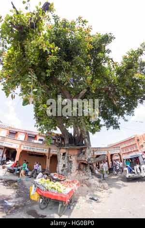 The façade of a stately home in Jaipur, Rajastan in India. These homes ...