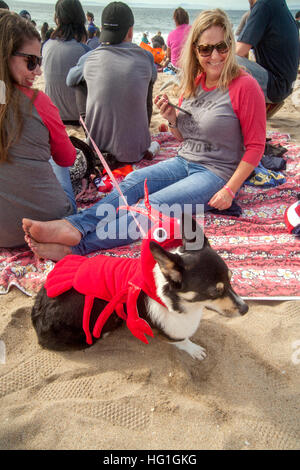 Lobster fancy dress costume Stock Photo - Alamy