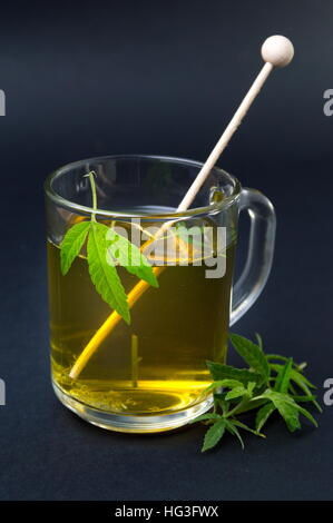 Closeup marijuana leaves on black background, Cannabis on a dark ...