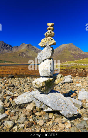 portrait closeup blue-point of a Scottish straight cat Stock Photo - Alamy