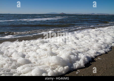 Pollution of the sea, Mar Menor, Murcia, Spain Stock Photo - Alamy