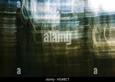 Abstract forest photo. Long exposure blurry autumn or winter forest ...