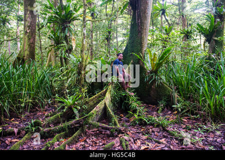 Yela Ka forest conservation area of ka trees in the Yela Valley, Kosrae ...