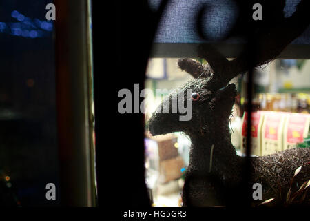 A high Street shop window, decorated for christmas with display of ...