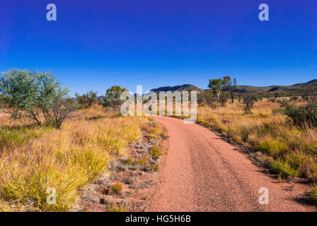 Australian Bush, landscape Stock Photo - Alamy