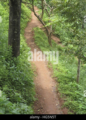 A pathway in Papanashini, Dakshina Kashi, Kerala, India Stock Photo - Alamy