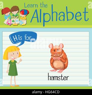 Flashcard letter H is for hamster Stock Vector Image & Art - Alamy