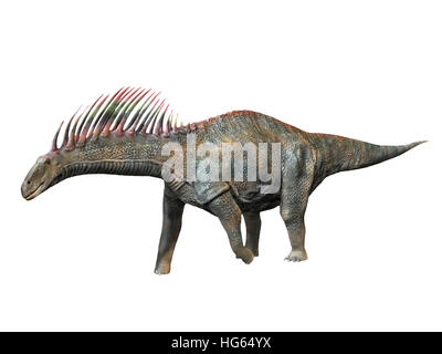 Amargasaurus is a sauropod dinosaur from the Early Cretaceous Period ...