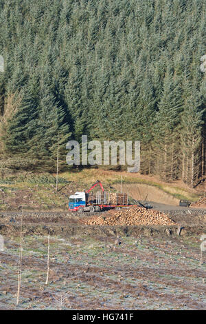 Scottish Tree Logging & Timber Industry. Burnroot Sawmill, Dinnet ...