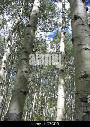 USA Gary Colet Poster Stock Photo - Alamy