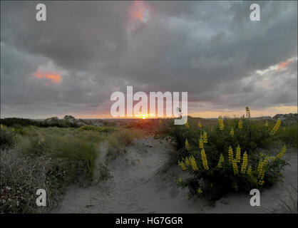2010s New Zealand Gary Colet Poster Stock Photo - Alamy