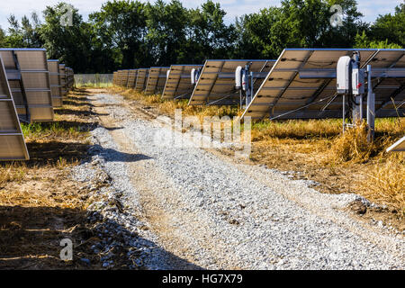 Solar Panel Farm. Corn Fields are Being Converted into Green Energy ...