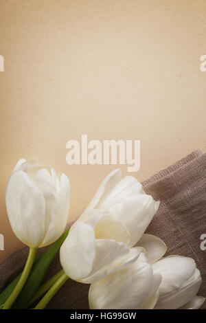paper tulips background copy space spring concept Stock Photo - Alamy
