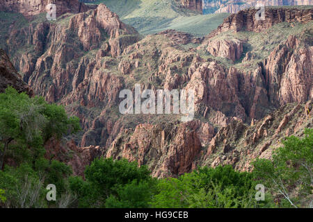 The Vishnu Basement Rocks rising up behind the North Kaibab Trail and ...