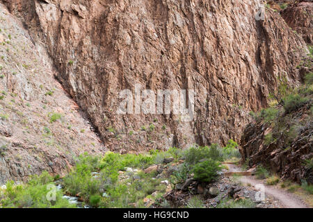The Vishnu Basement Rocks of the Grand Canyon creating abstract Stock ...