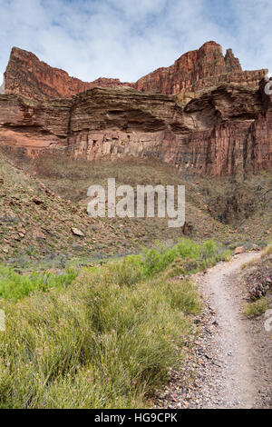 Bright Angel Shale and Tapeats Sandstone in front of the Redwall ...