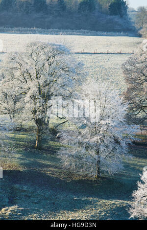 Turkdean in the frosty winter sunlight. Cotswolds, Gloucestershire ...