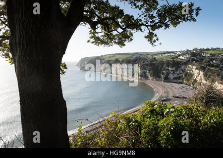 beer seaside village east devon england uk Stock Photo - Alamy