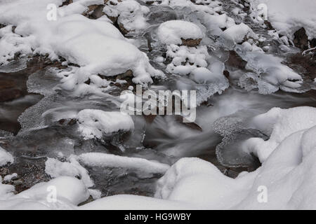 Freezing stream in the mountains of the Carpathians Stock Photo - Alamy