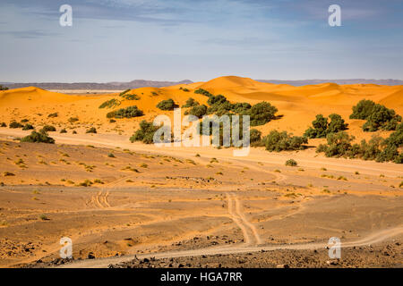 In these places meets stony Hamada desert with sand Sahara Desert near ...