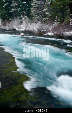 Metolius Wild and Scenic River at Wizard Falls Fish Hatchery, Deschutes ...