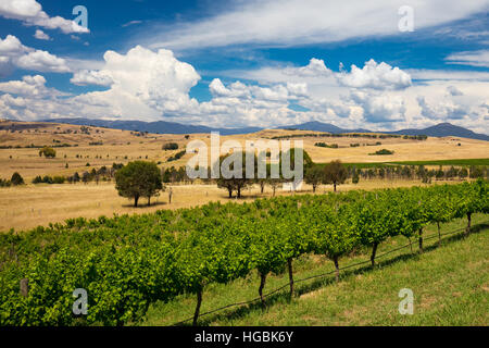 Howqua Valley View Stock Photo - Alamy