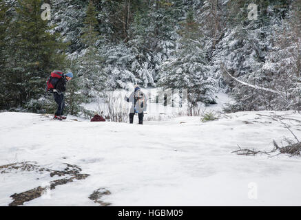 Hikers on Davis Path near Mount Crawford Located in the White Mountains ...