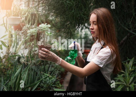 gardener spraying water on flowers Stock Photo - Alamy