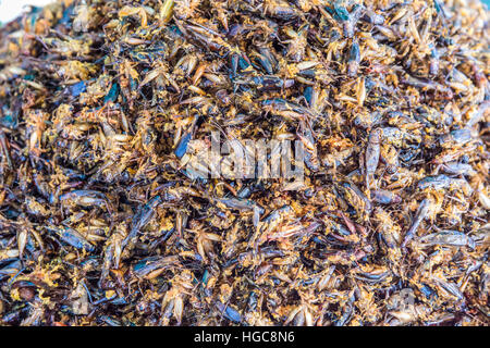 Fried cockroaches street food of Cambodia Stock Photo - Alamy